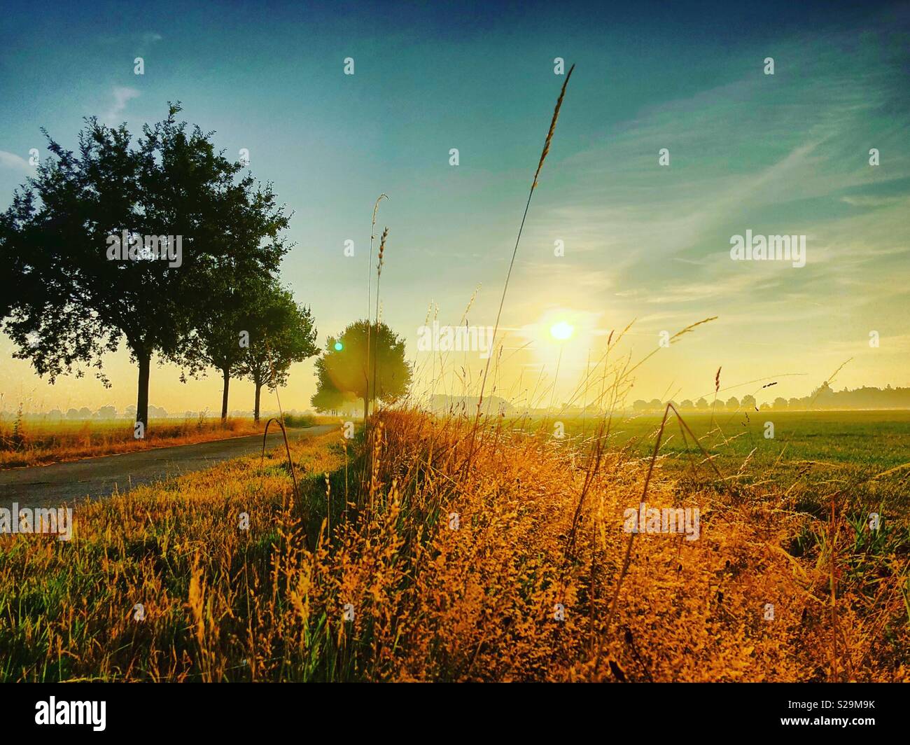 Colorful and idyllic Farmfield sunrise Stock Photo - Alamy