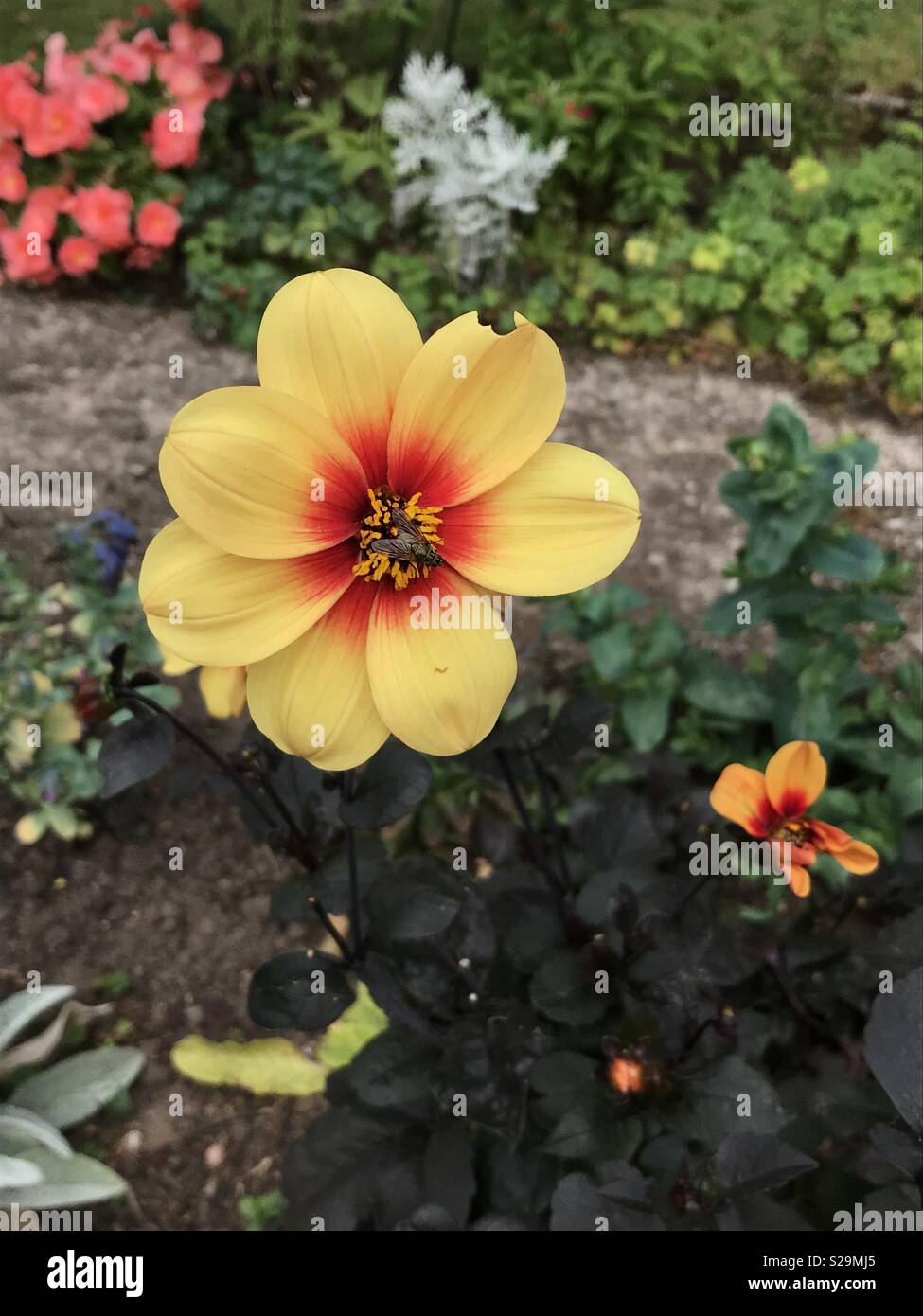 Moonfire High Resolution Stock Photography and Images - Alamy