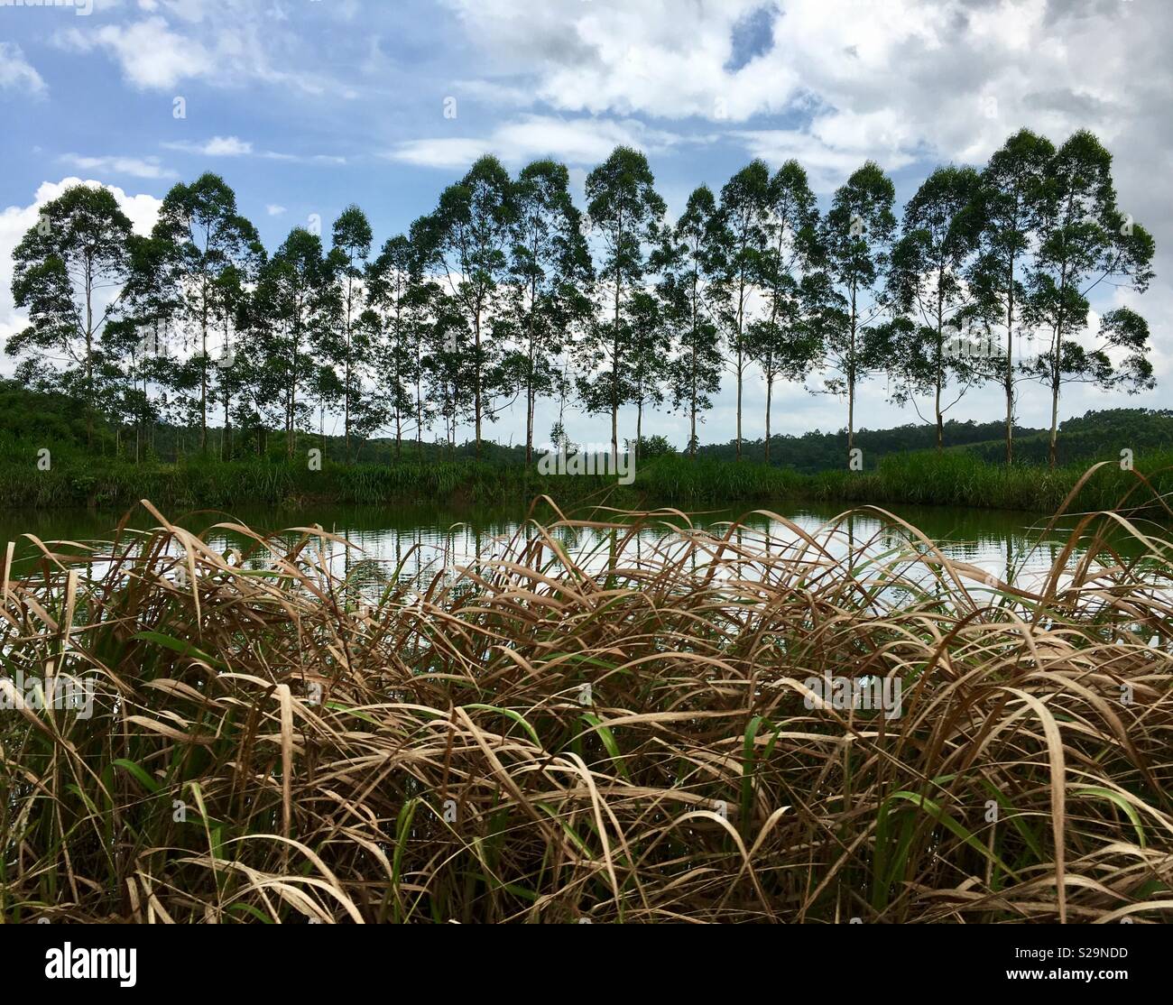 Taishan china hi-res stock photography and images - Alamy