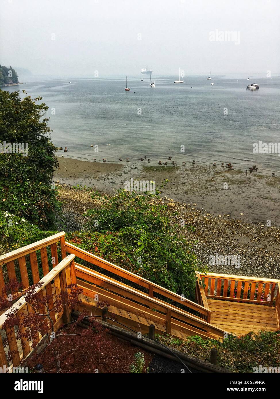 Smoky beach hi-res stock photography and images - Alamy