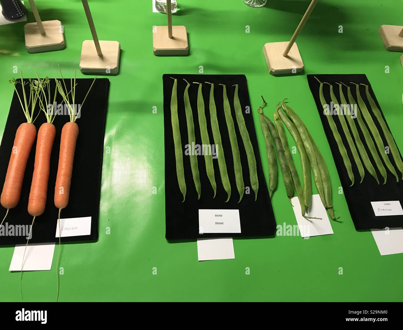 Vegetables displayed at a village show awaiting judging Stock Photo - Alamy