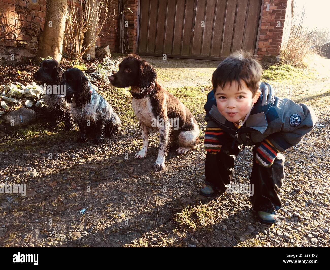 Kids and dogs hi-res stock photography and images - Alamy