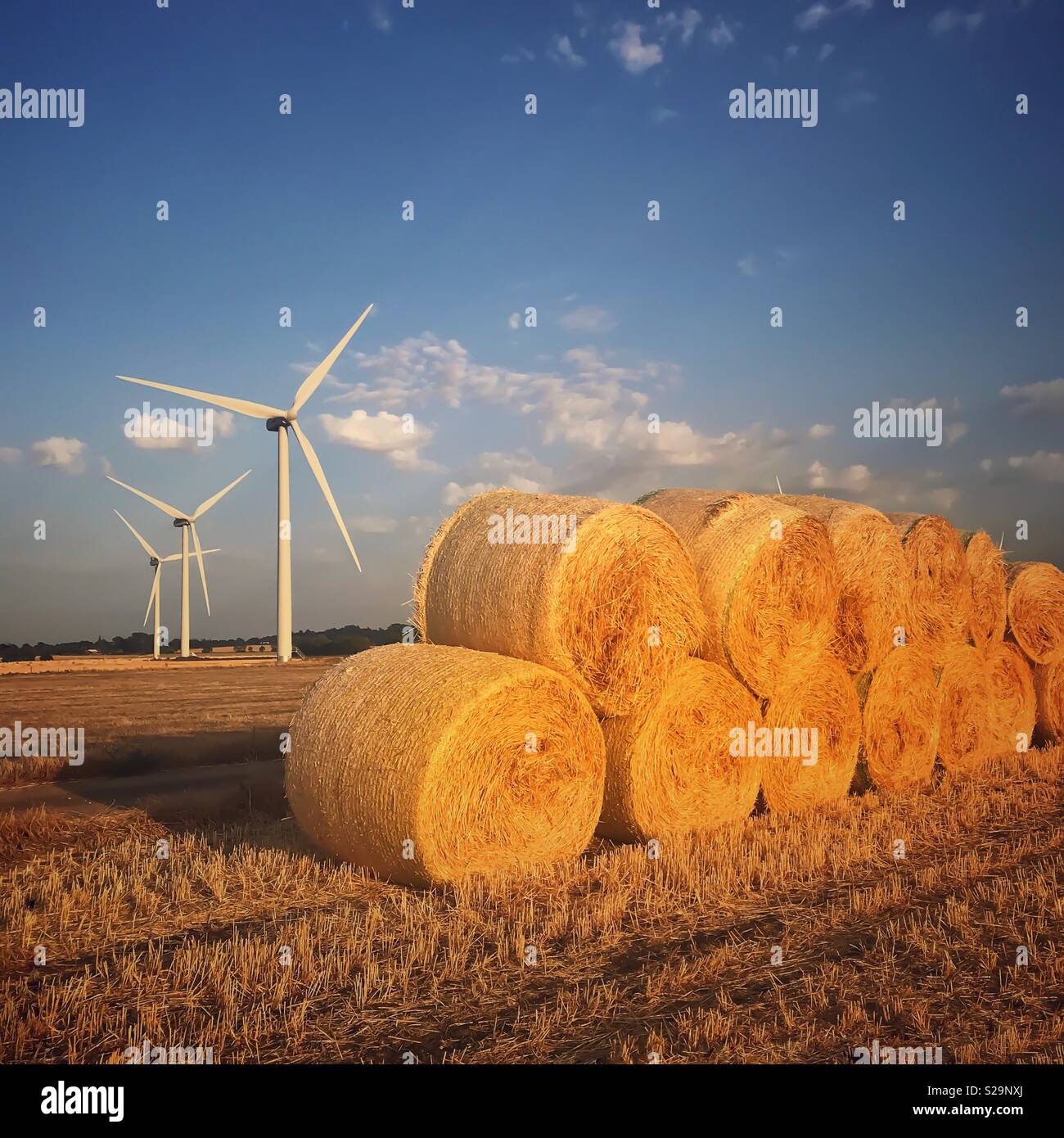 Straw bales on a farm field with wind turbines in the background Stock ...