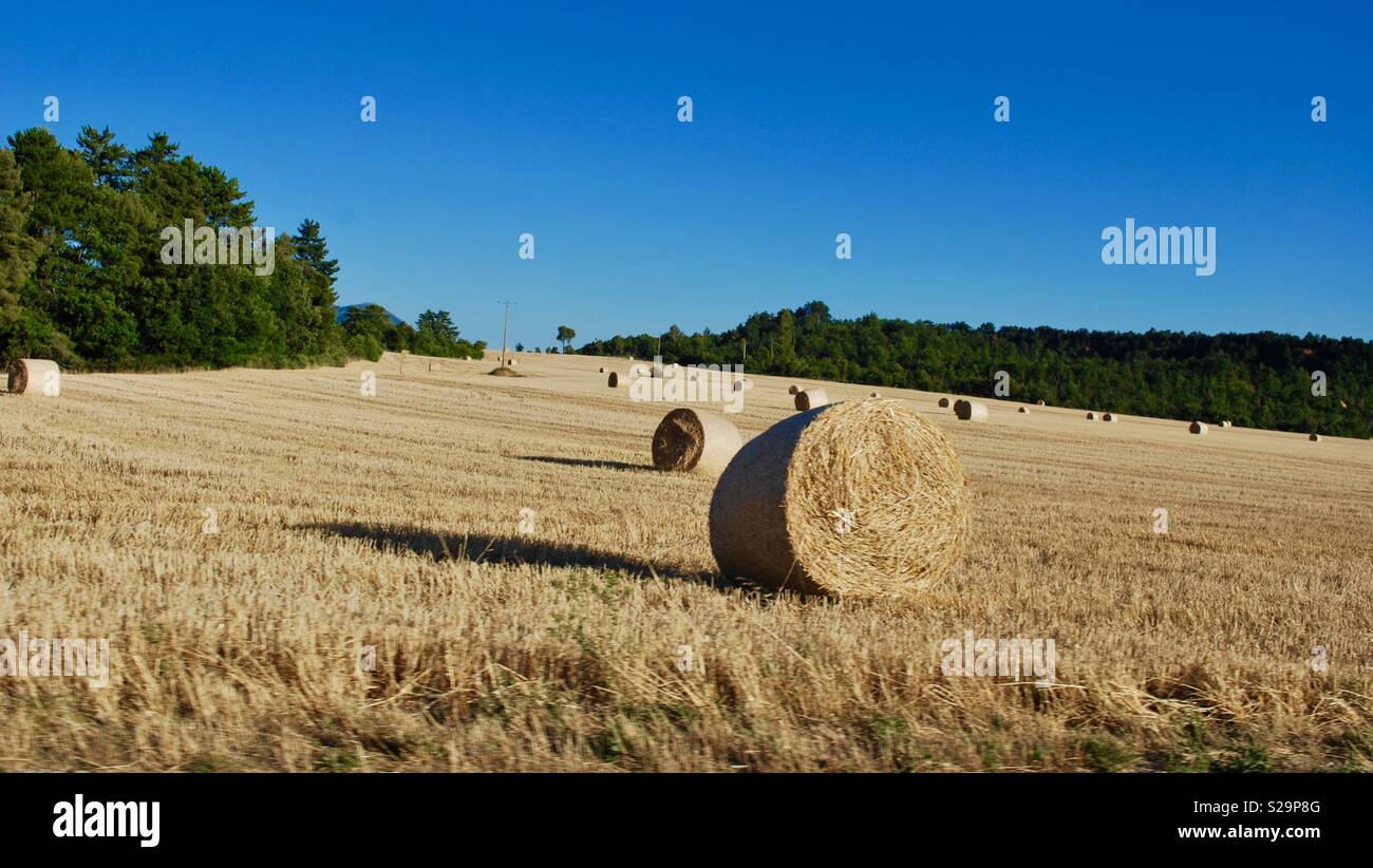 Landscape in Provence, France Stock Photo - Alamy
