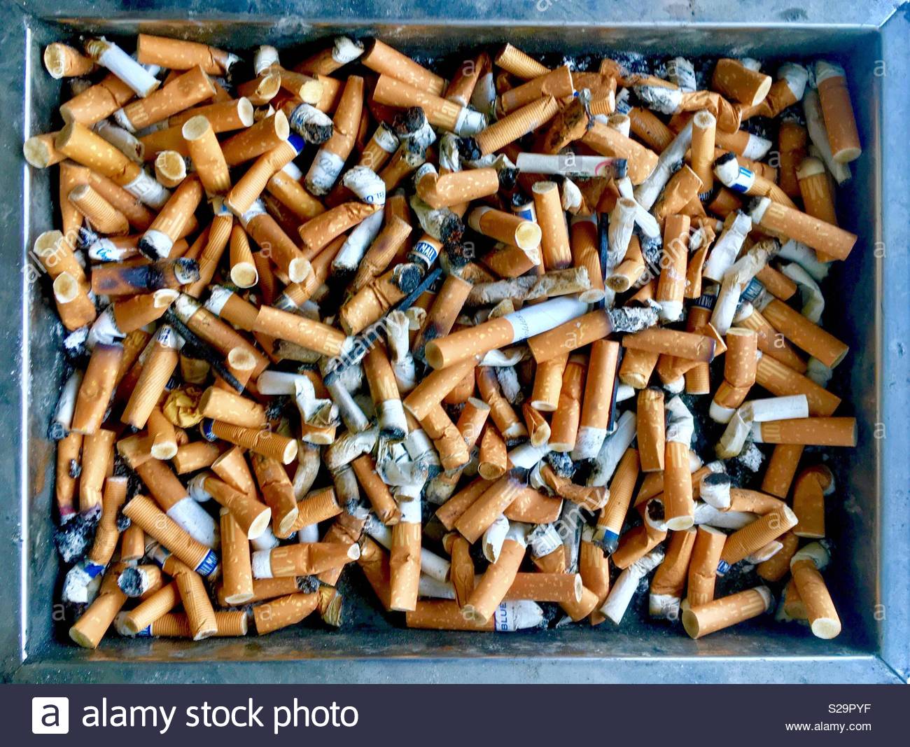 Cigarette Buds Stock Photos & Cigarette Buds Stock Images - Alamy