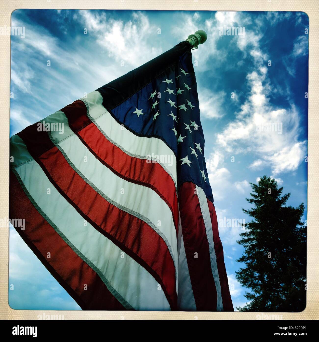 Pine tree flag hi-res stock photography and images - Alamy
