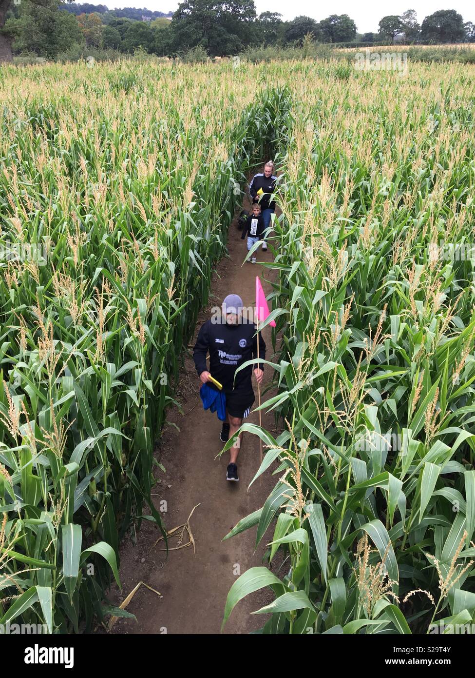 A family enjoying a visit to a Maize Maze Stock Photo - Alamy
