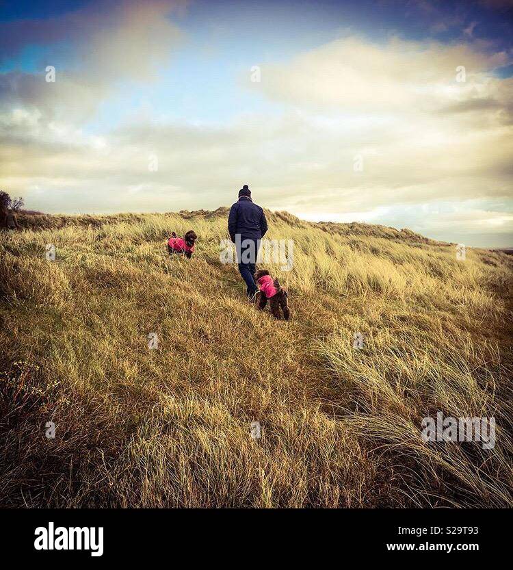 One man and his dogs Stock Photo - Alamy