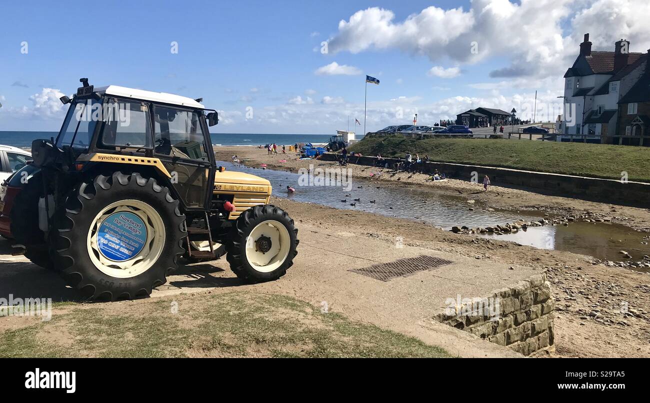 English sea ducks hi-res stock photography and images - Alamy