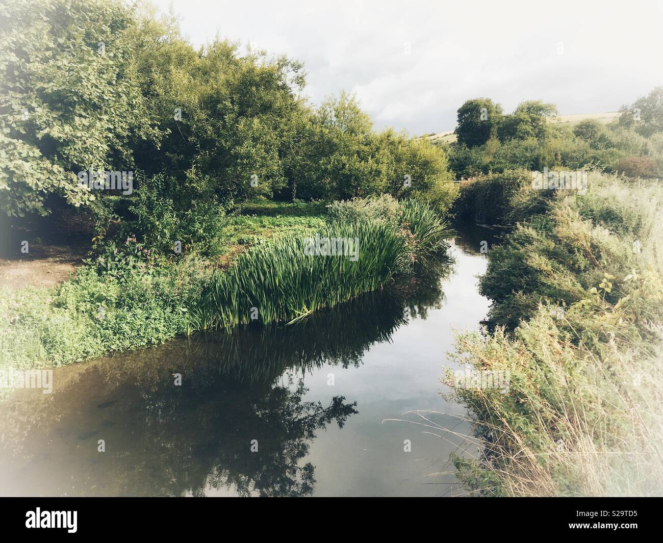 Trees river reflections hi-res stock photography and images - Alamy