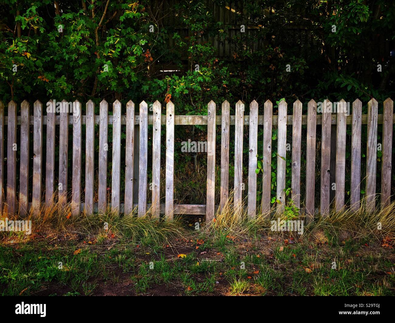 Sticks missing on wooden fence Stock Photo - Alamy