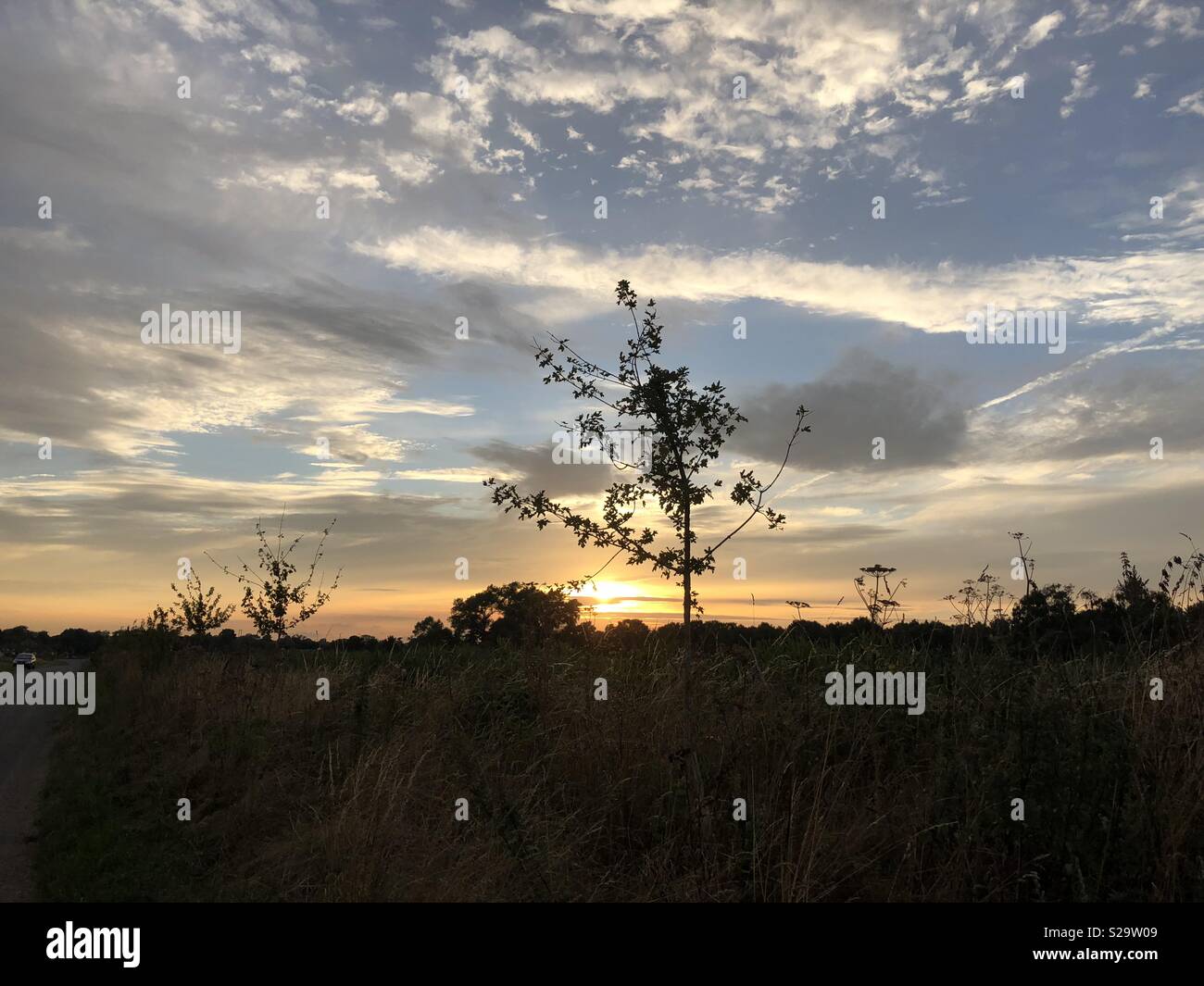 Night sky of diamonds Stock Photo - Alamy