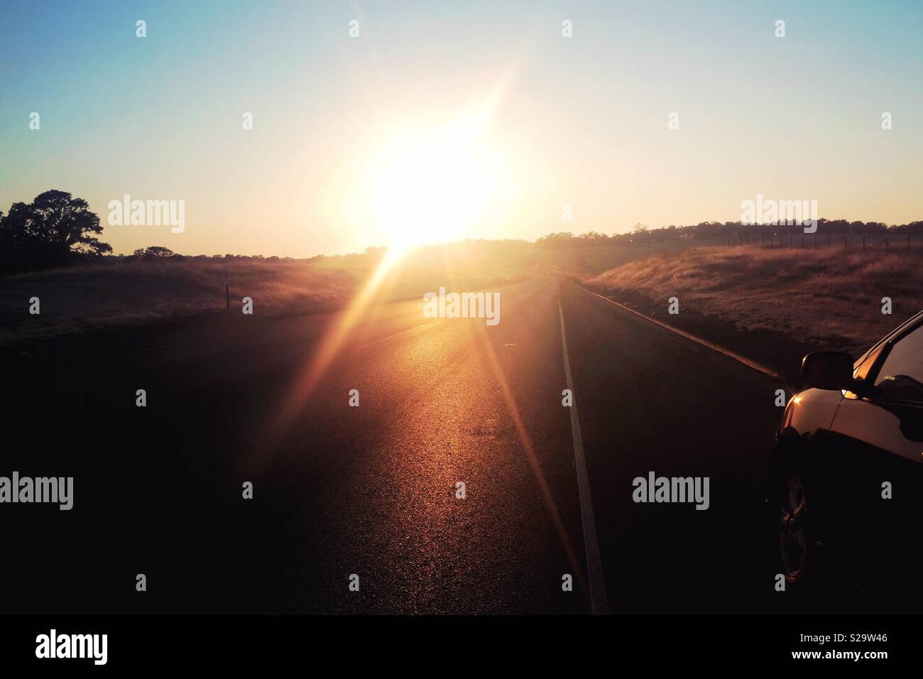 Car Driving Away Into Sunset