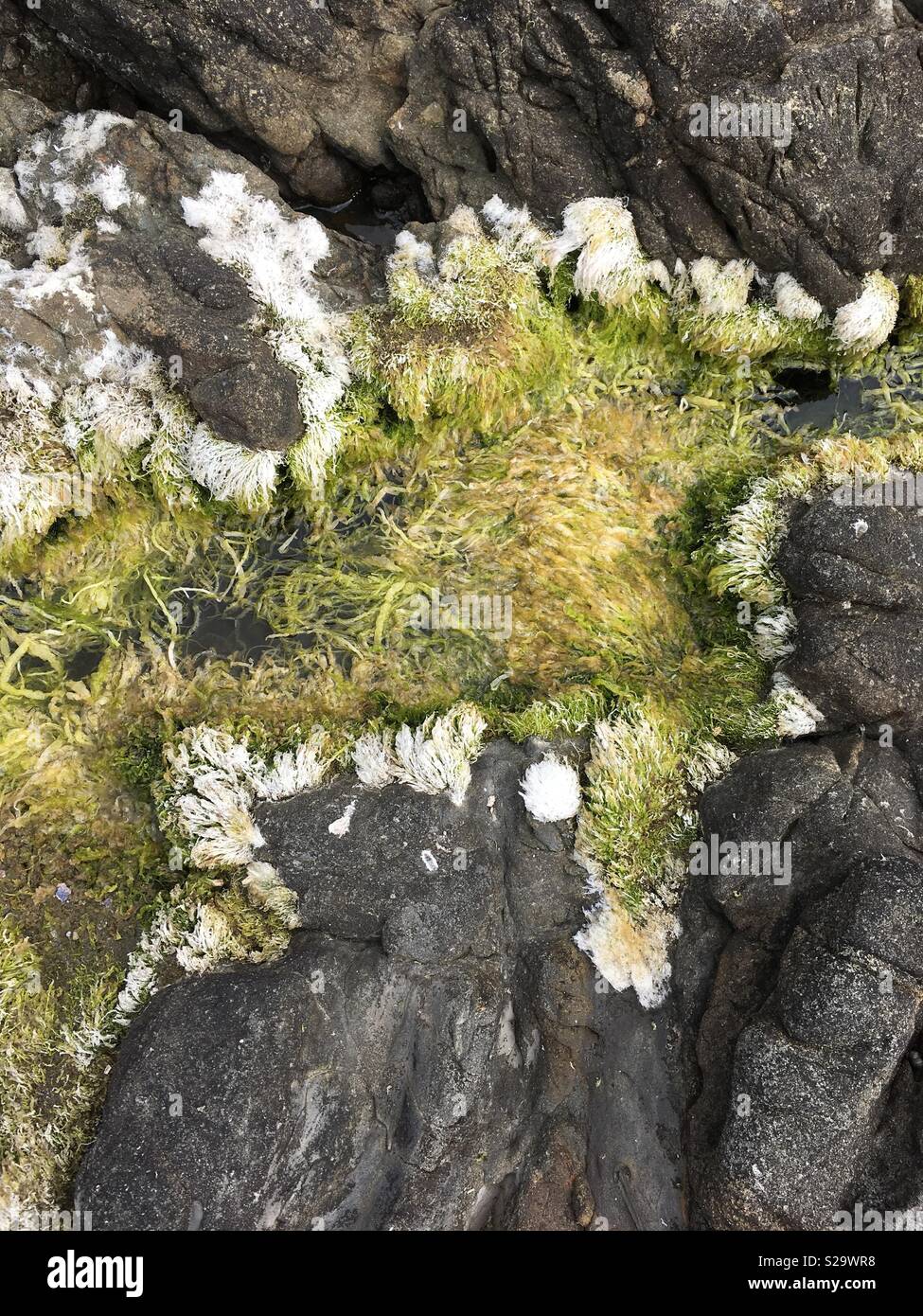 Salt pool hi-res stock photography and images - Alamy