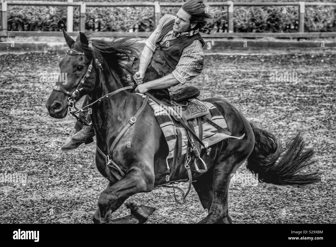 Black horse with rider side saddle Stock Photo - Alamy