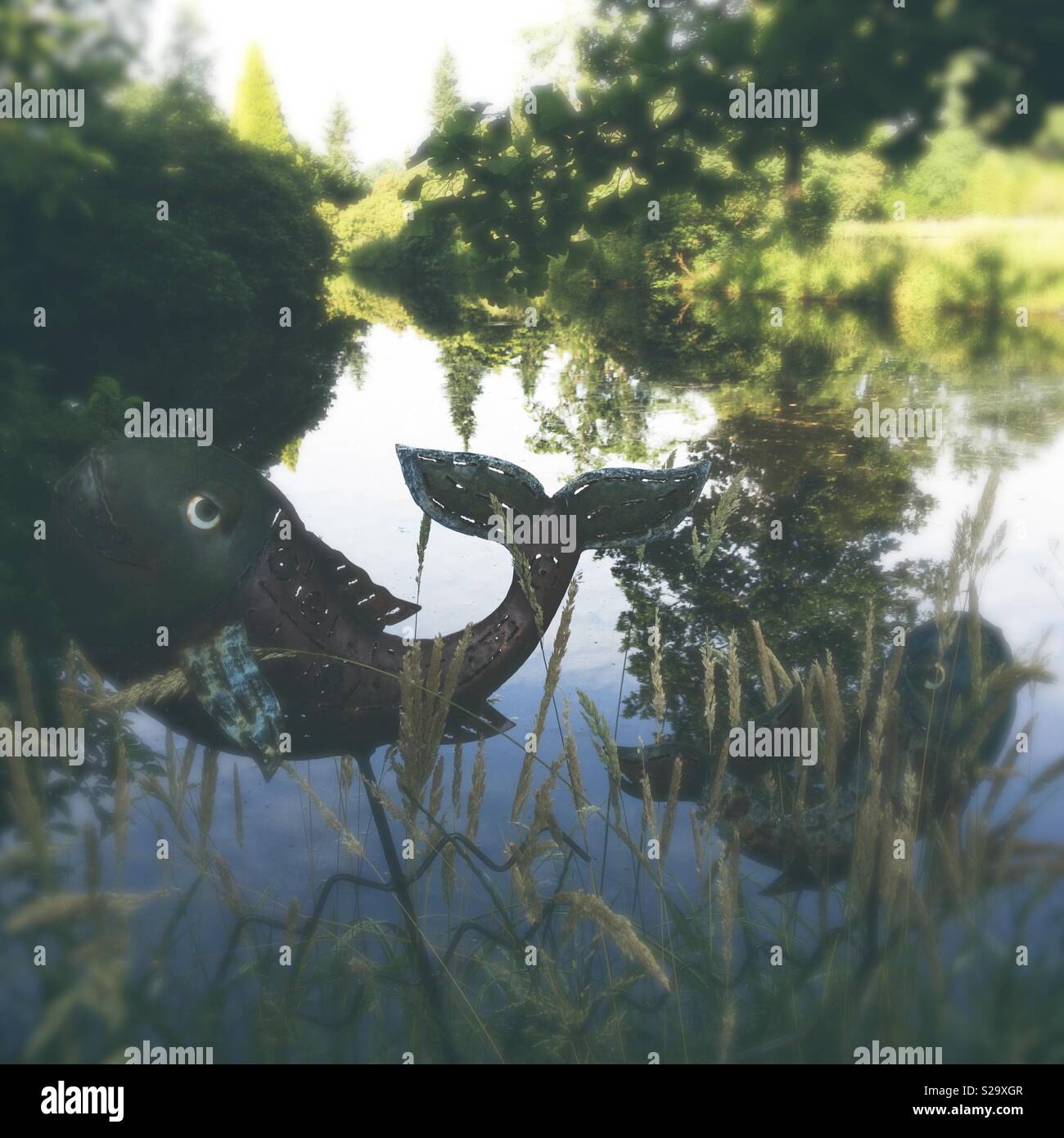 Metal pond hi-res stock photography and images - Alamy