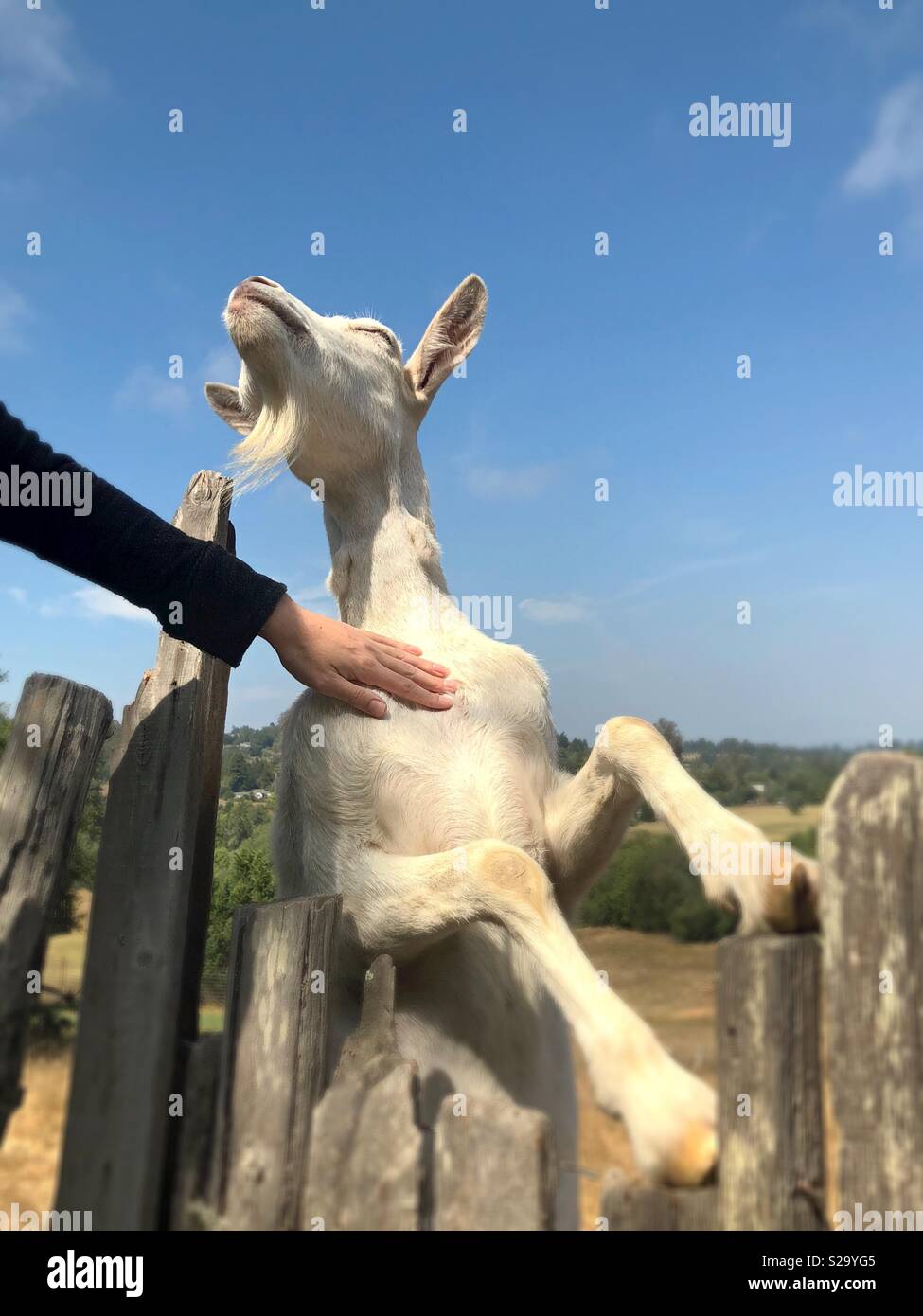 Hand reaching out touching hi-res stock photography and images - Alamy