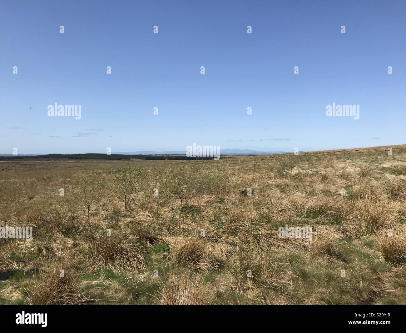 Whitelees Windfarm High Resolution Stock Photography and Images - Alamy