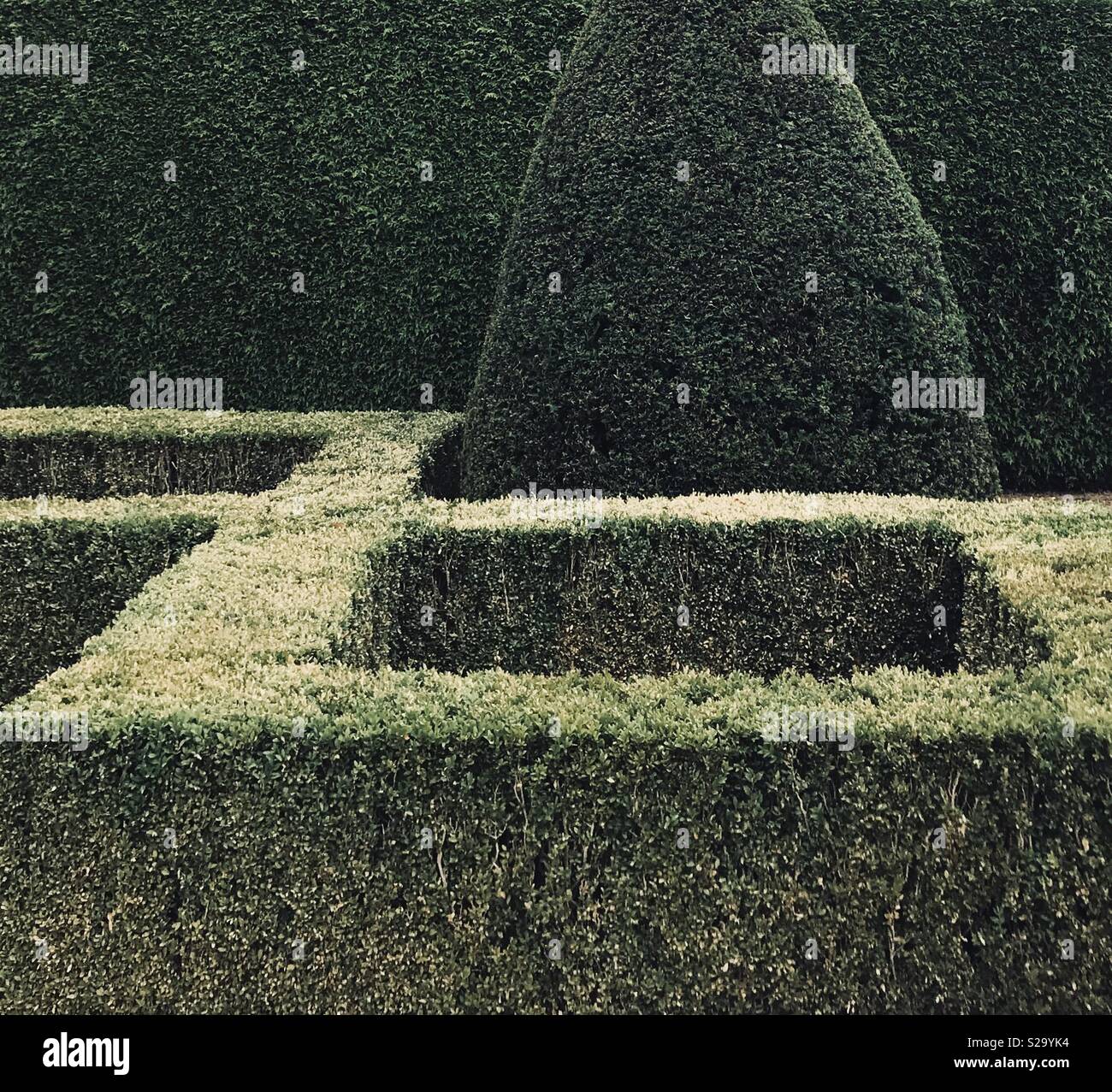 Hedge pathway hi-res stock photography and images - Alamy