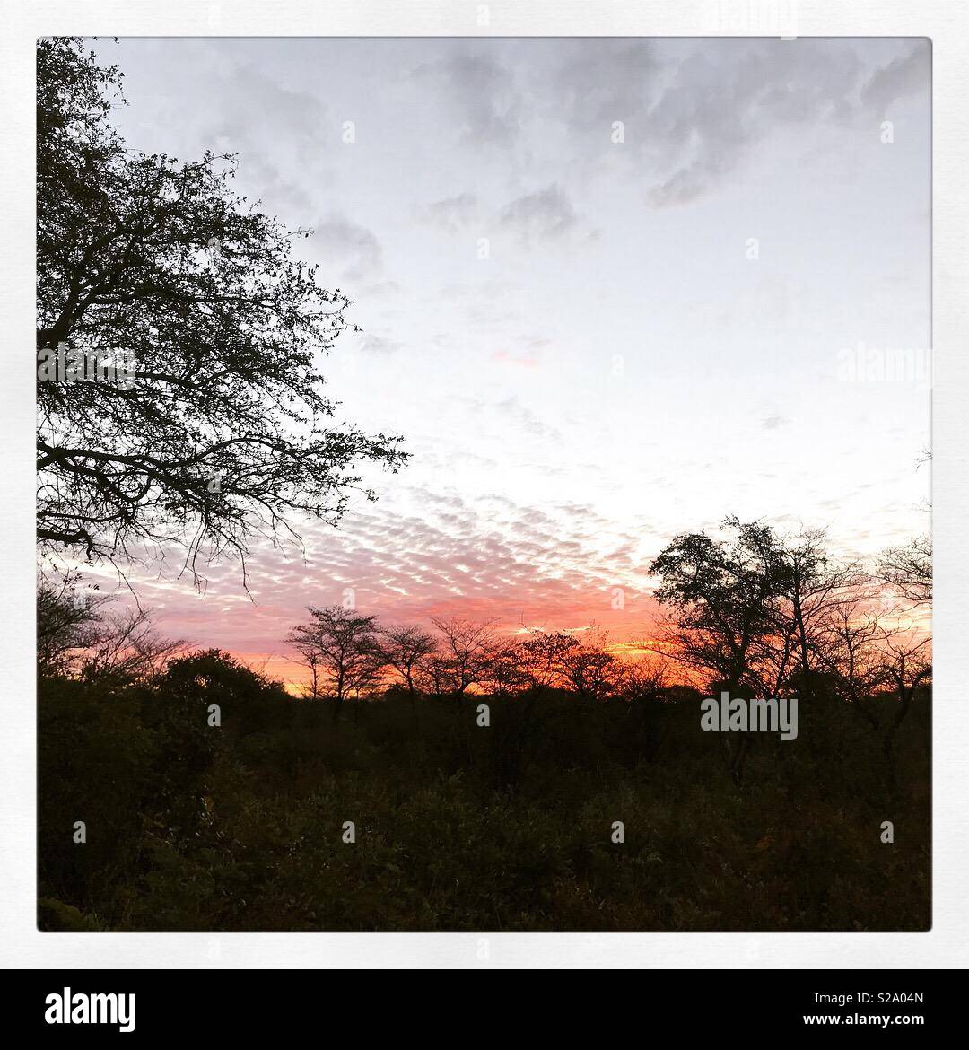 Botswana sunset hi-res stock photography and images - Alamy