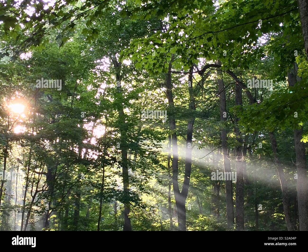 Let your light shine hi-res stock photography and images - Alamy