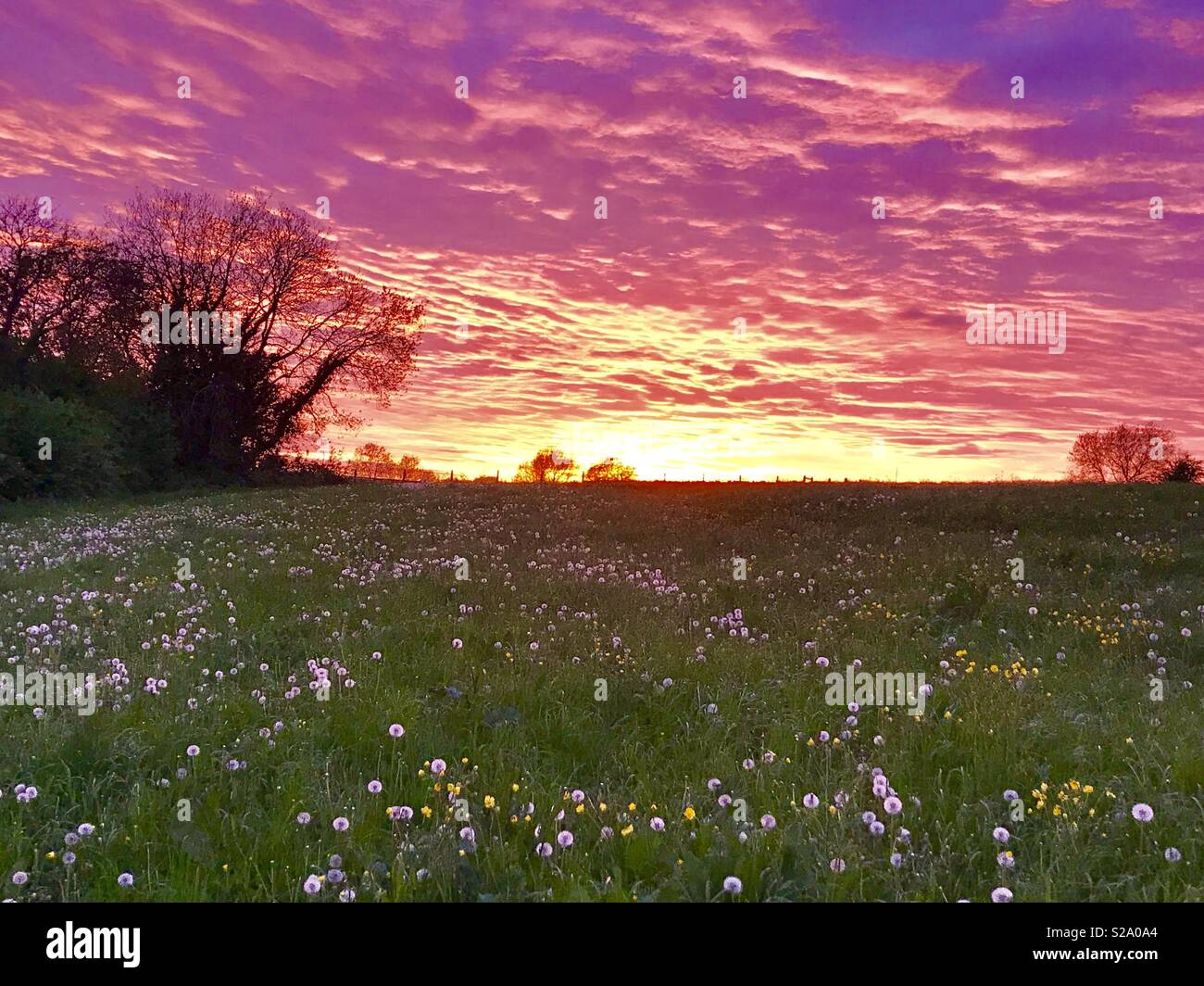 Shepton mallet hi-res stock photography and images - Alamy