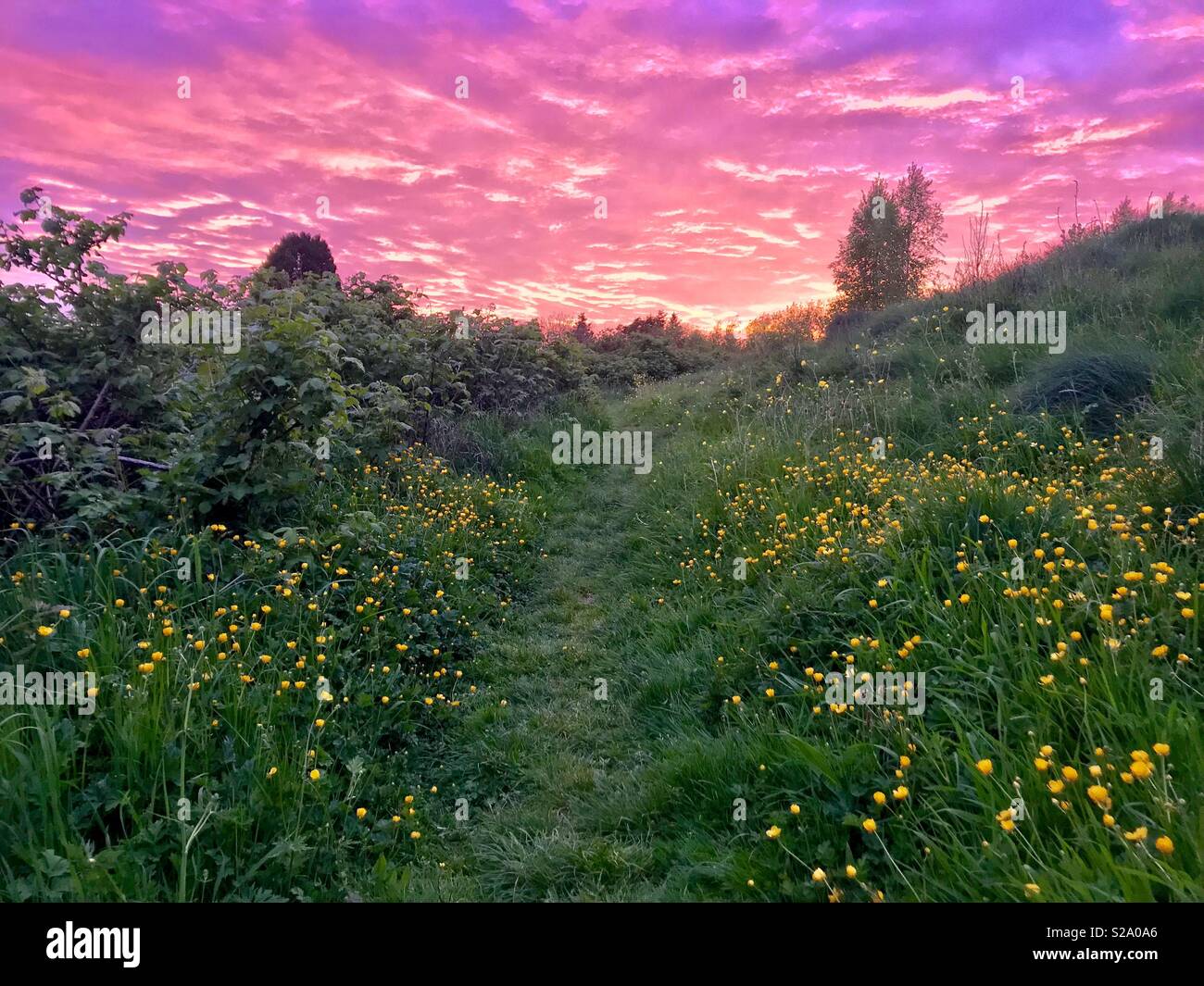 Shepton mallet hi-res stock photography and images - Alamy