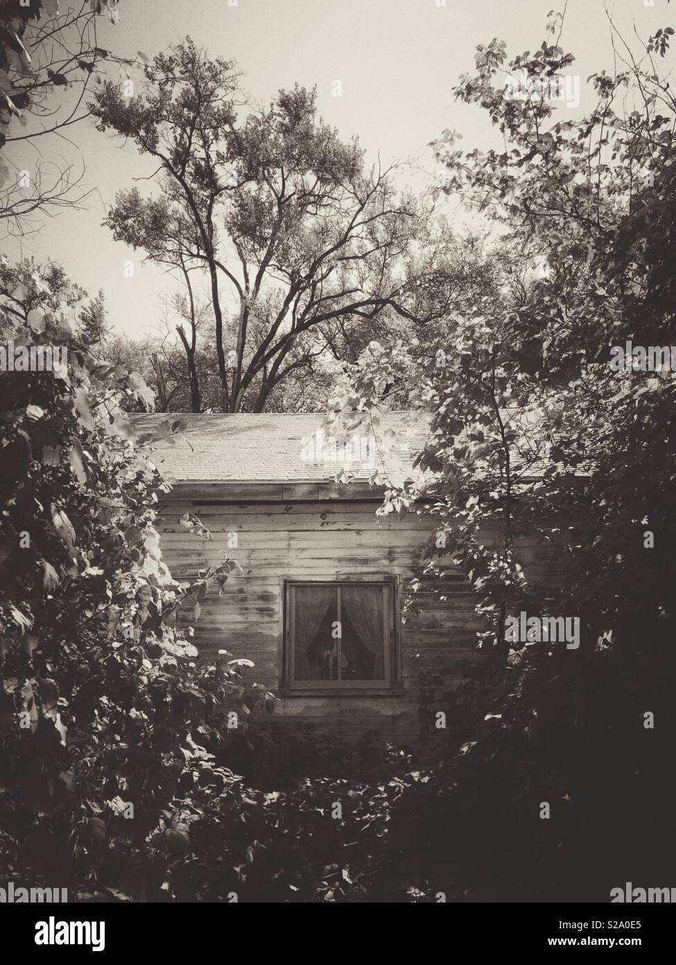 Old place in the woods Stock Photo - Alamy