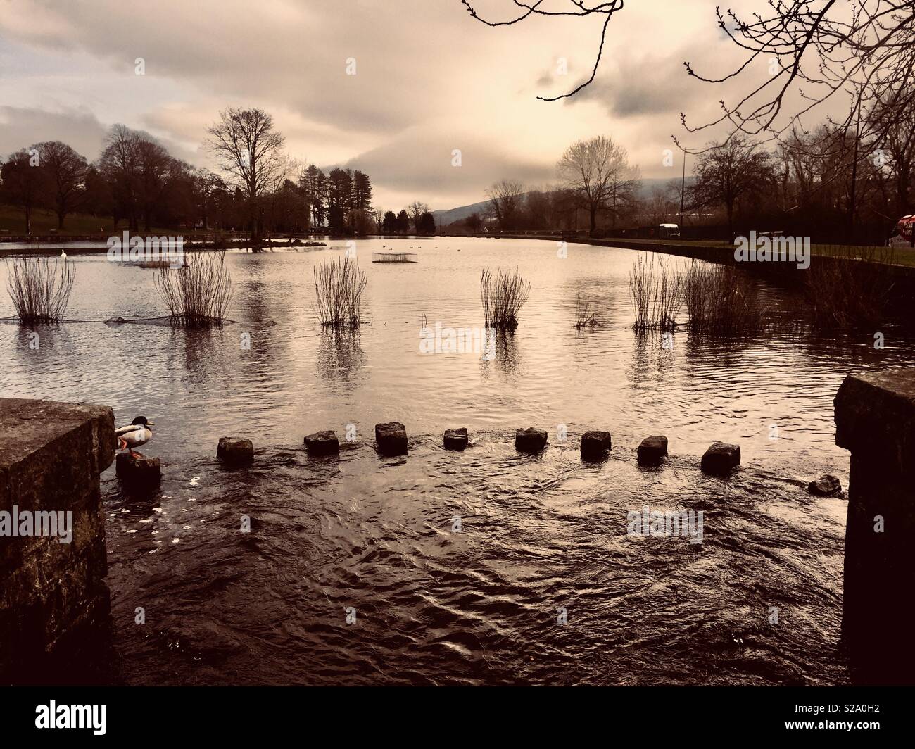 Cyfarthfa hi-res stock photography and images - Alamy