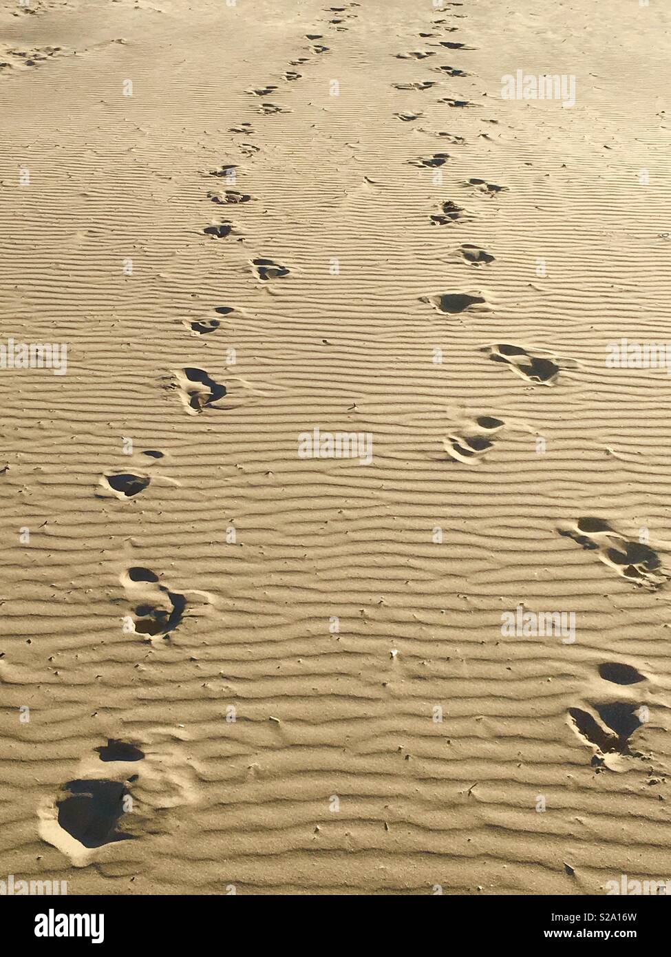 Two humans hi-res stock photography and images - Alamy