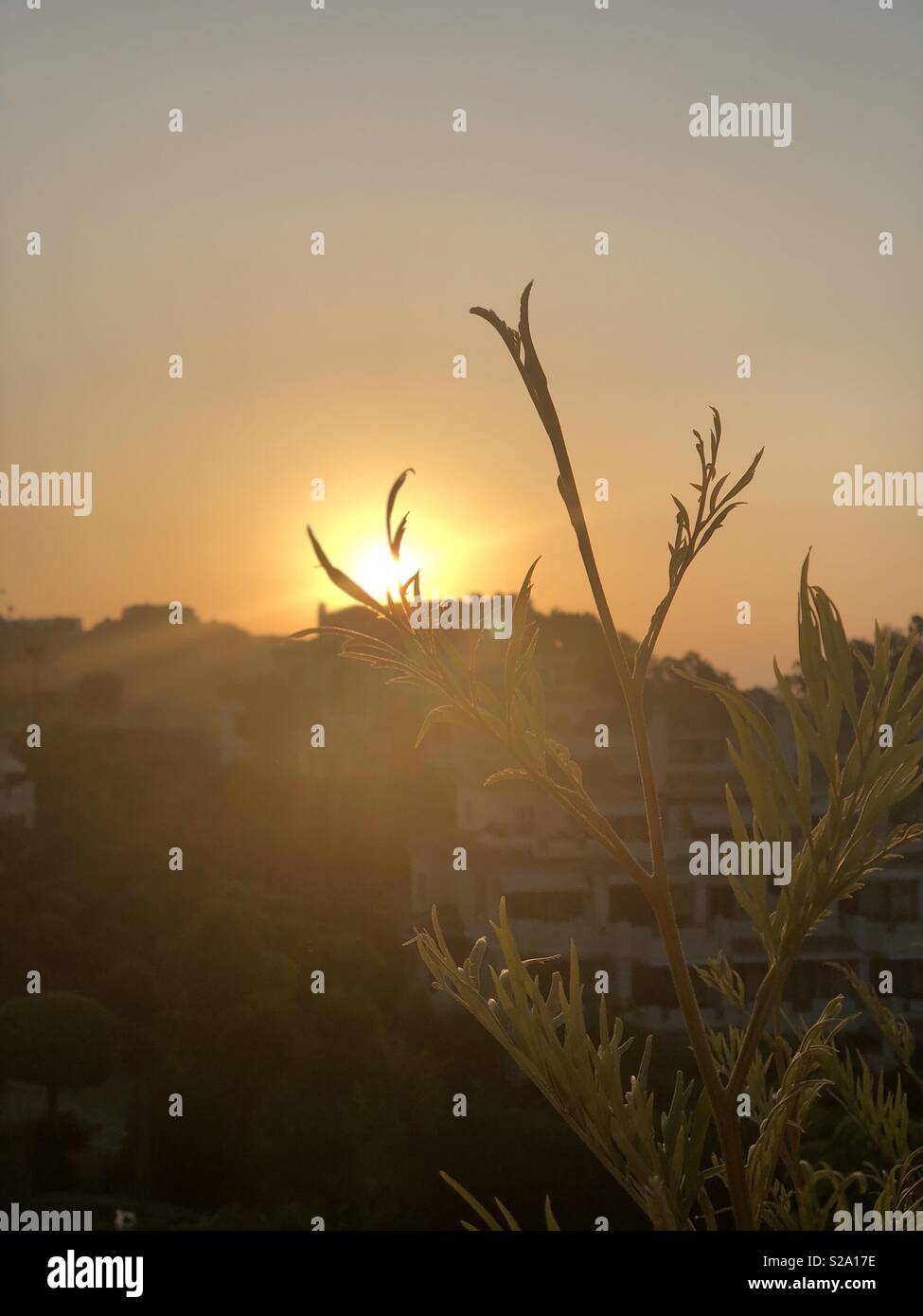 Sun rise in Spain Stock Photo - Alamy