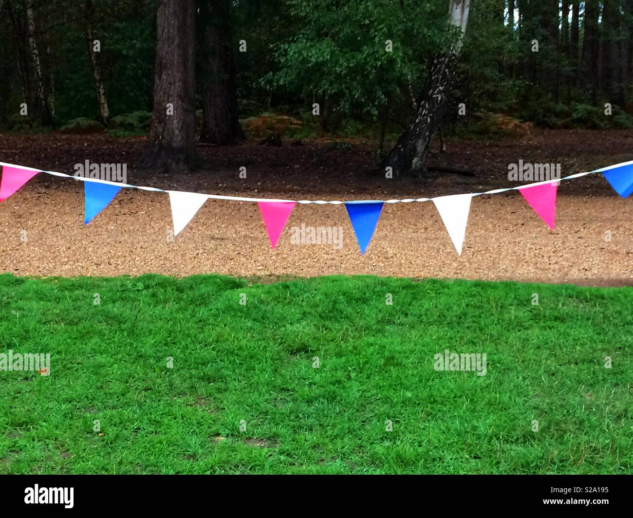 Bunting and trees hi-res stock photography and images - Alamy
