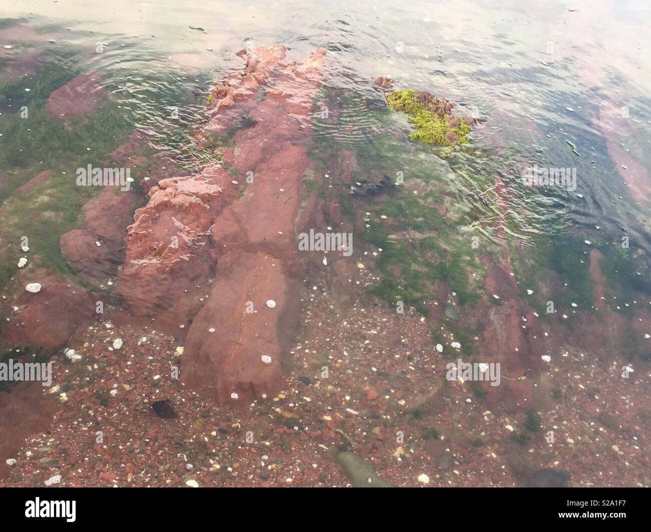 Ancient red sandstone rocks just under the sea, Pembrokeshire, Wales ...