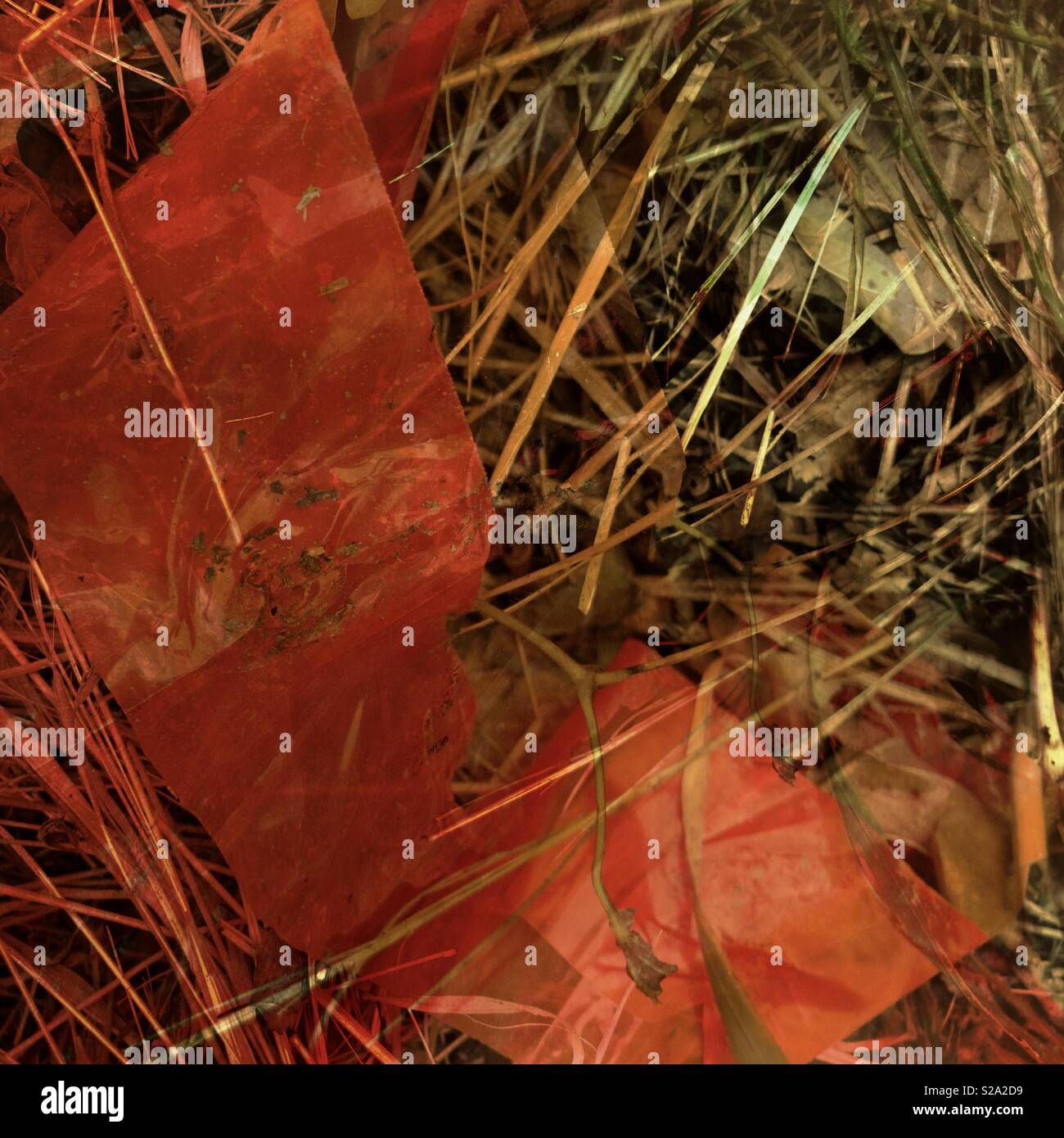 Plastic in nature hi-res stock photography and images - Alamy