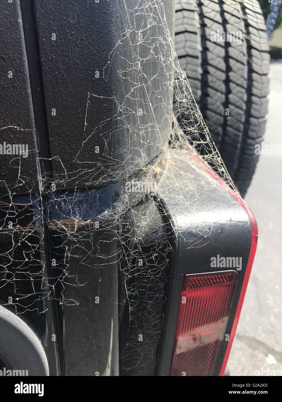 Spider webs black hi-res stock photography and images - Alamy