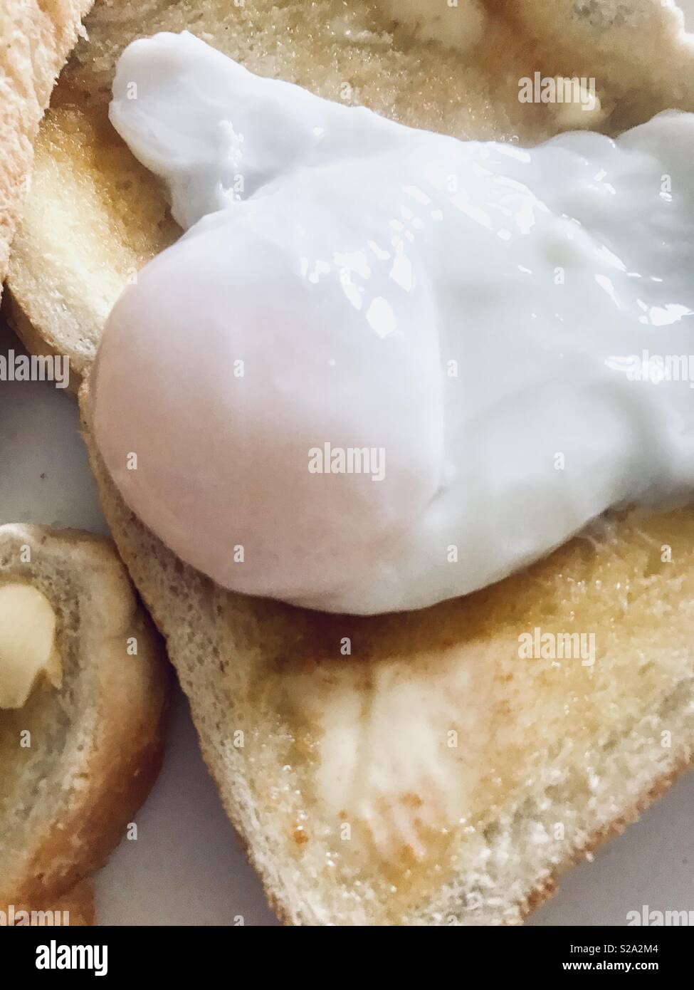 Poached egg on white buttered toast Stock Photo - Alamy