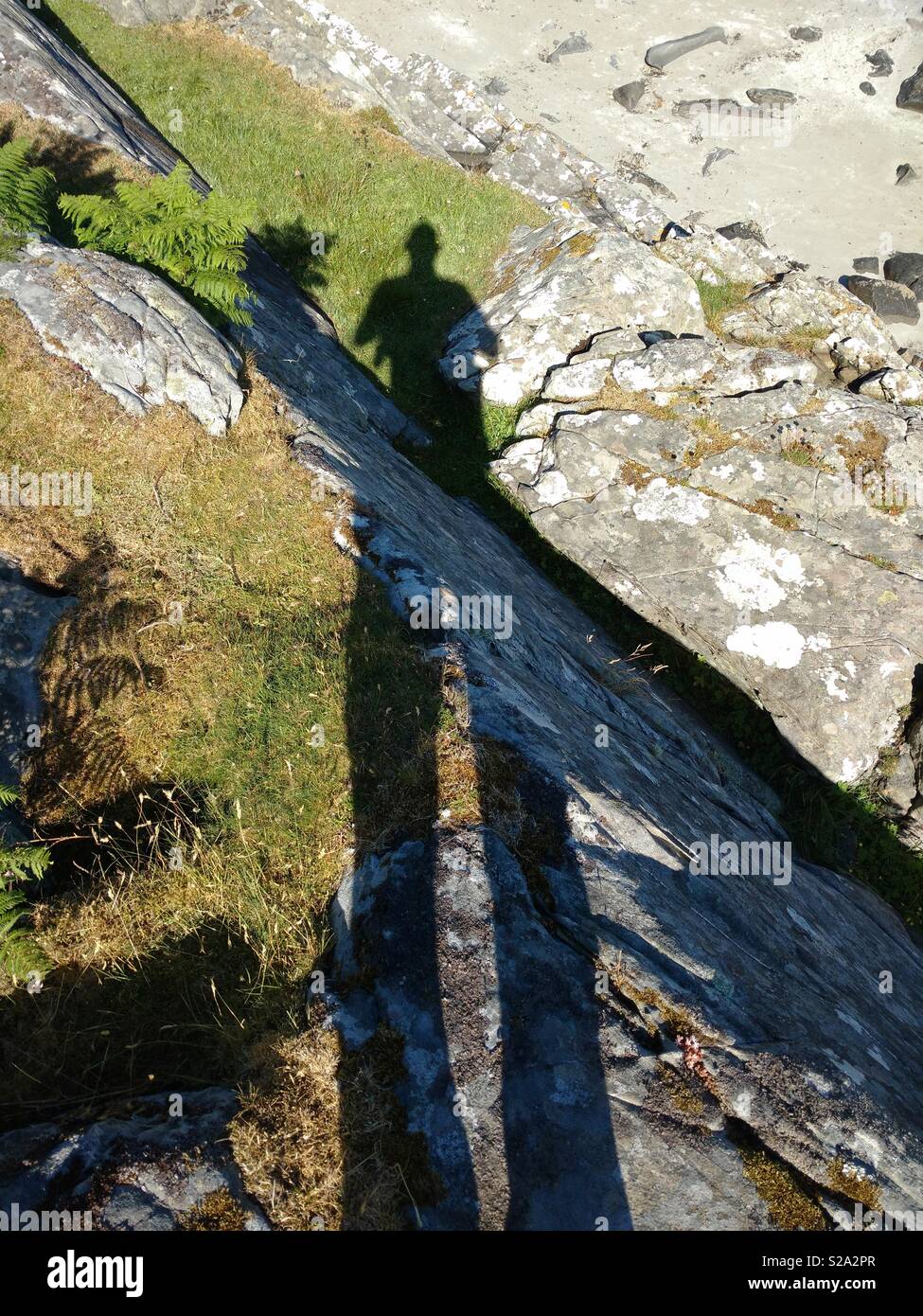 Camera man shadow hi-res stock photography and images - Alamy