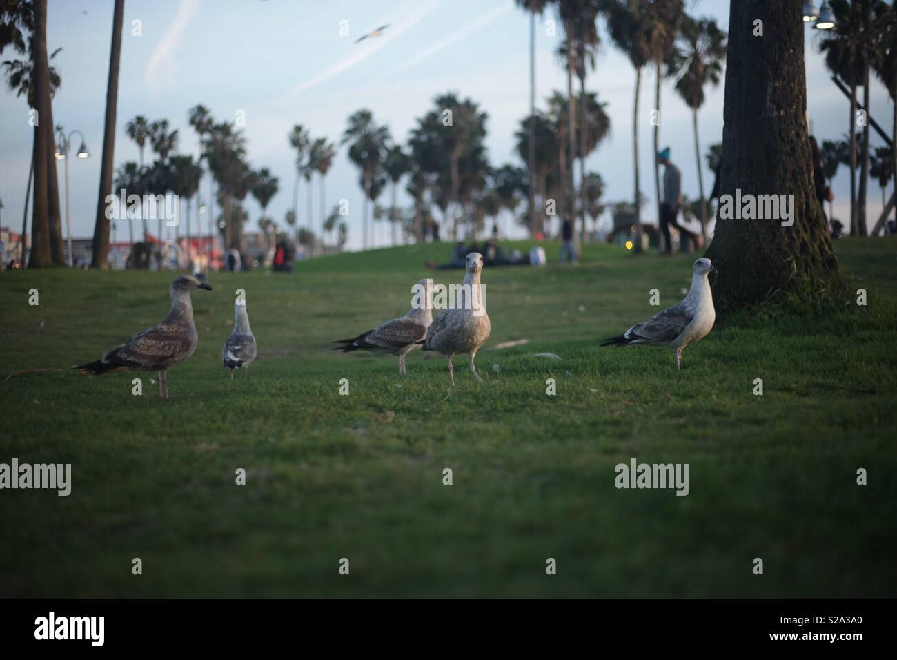 You can see different then others, when you look different way from the ...