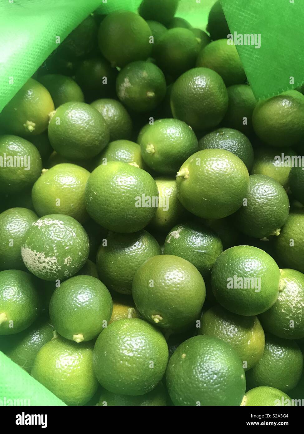 Calamansi hi-res stock photography and images - Alamy