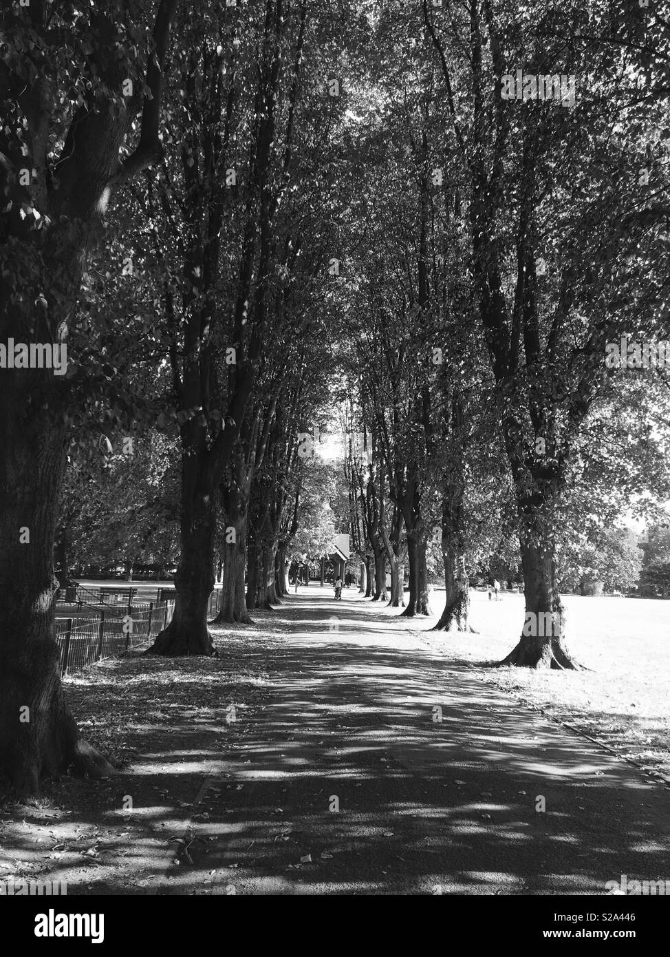 Walk through park hi-res stock photography and images - Alamy