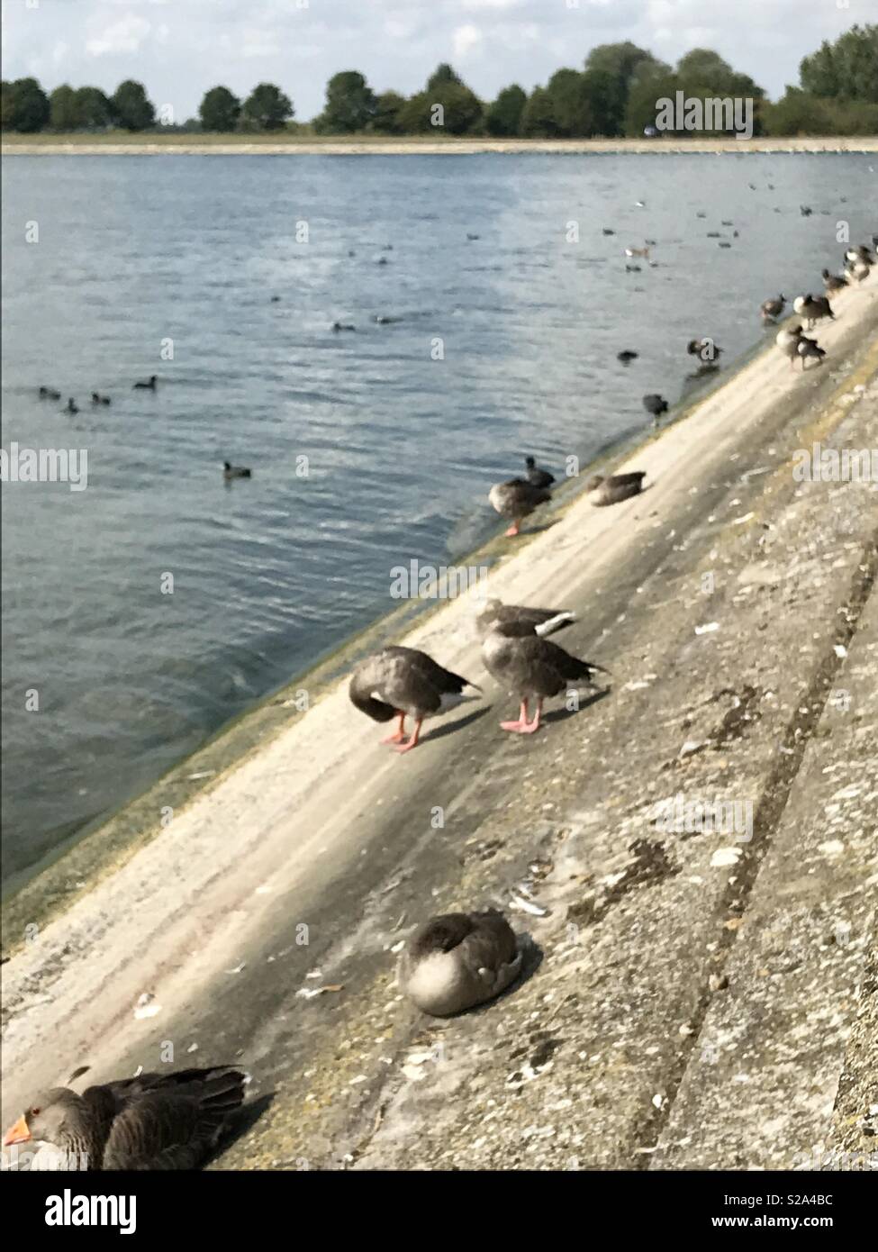 Farmoor reservoir hi-res stock photography and images - Alamy