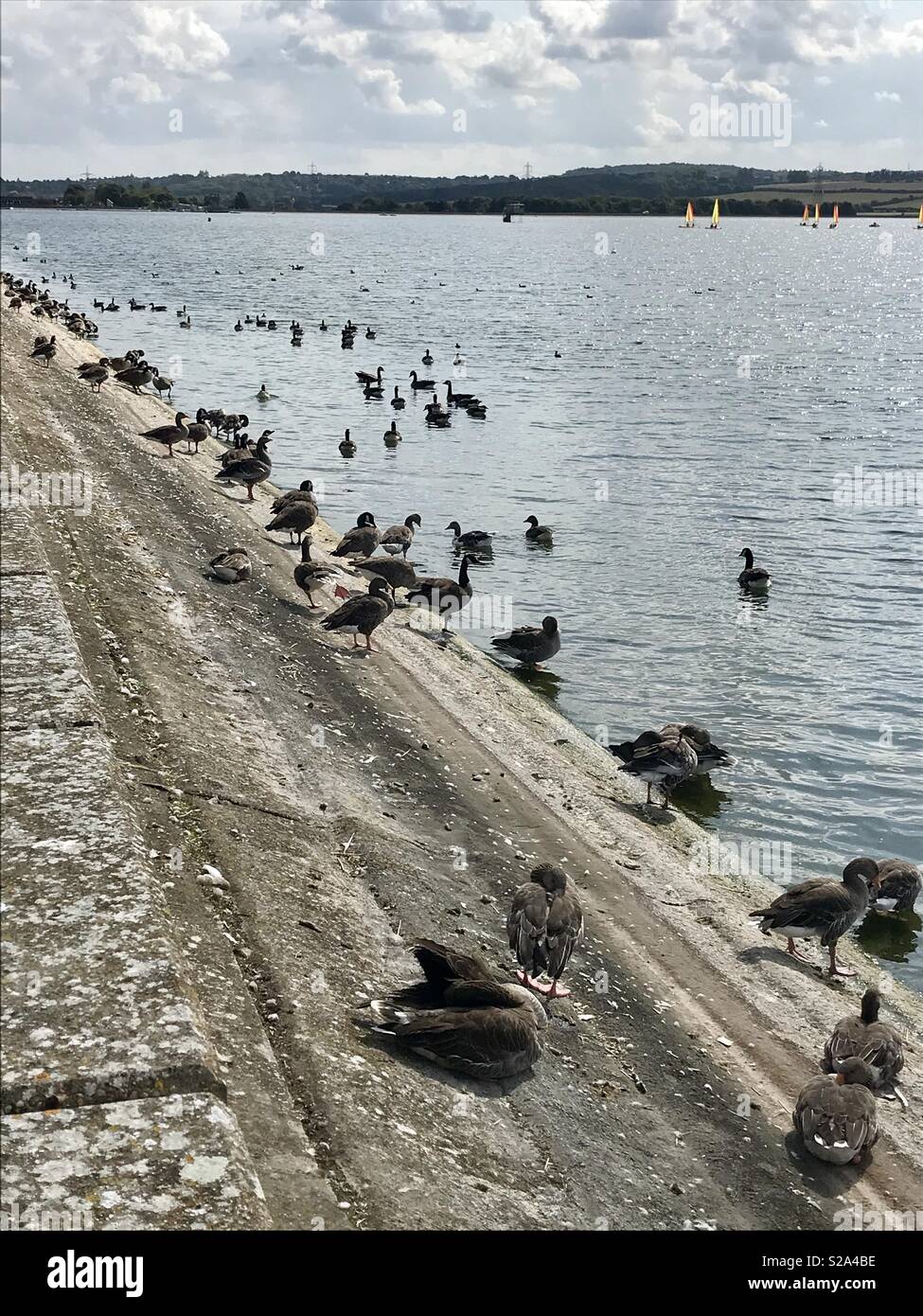 Farmoor Reservoir, Oxfordshire Stock Photo - Alamy