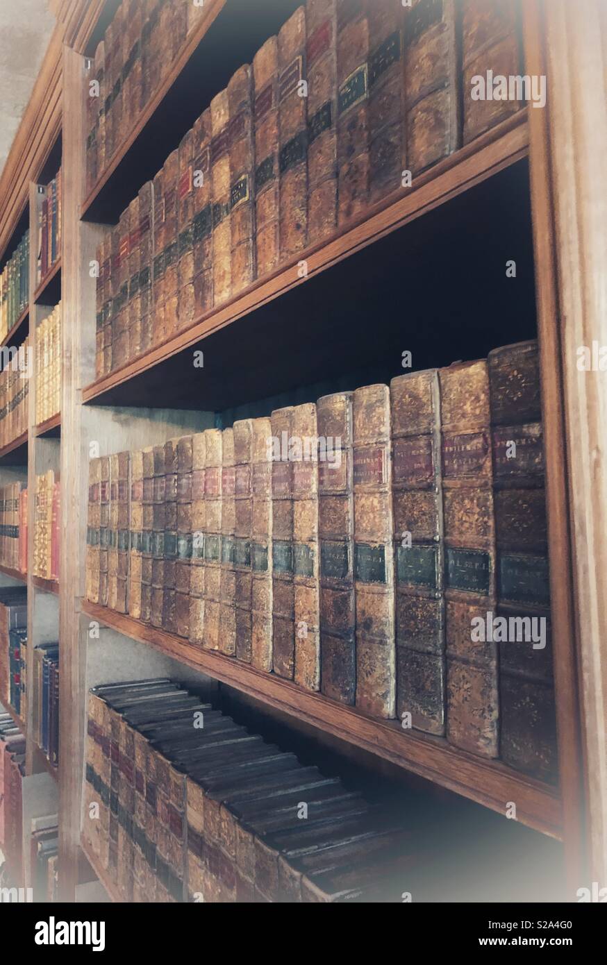 English books in a bookcase hi-res stock photography and images - Alamy