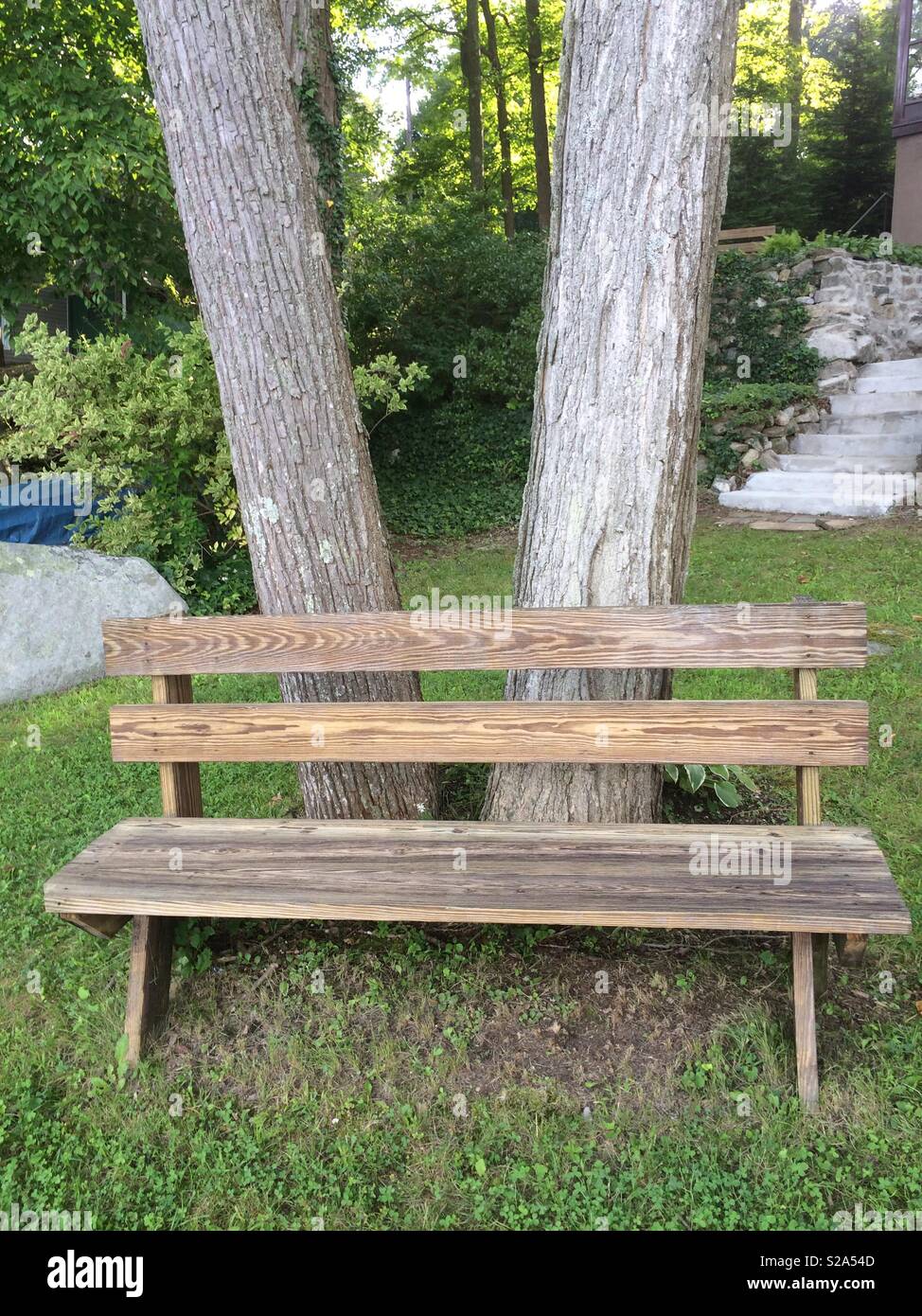 Wooden bench by the trees Stock Photo - Alamy