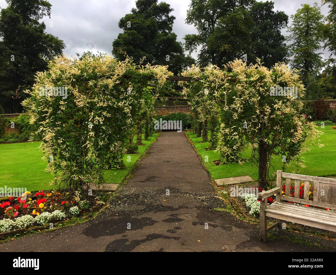 Plants trellis hi-res stock photography and images - Alamy