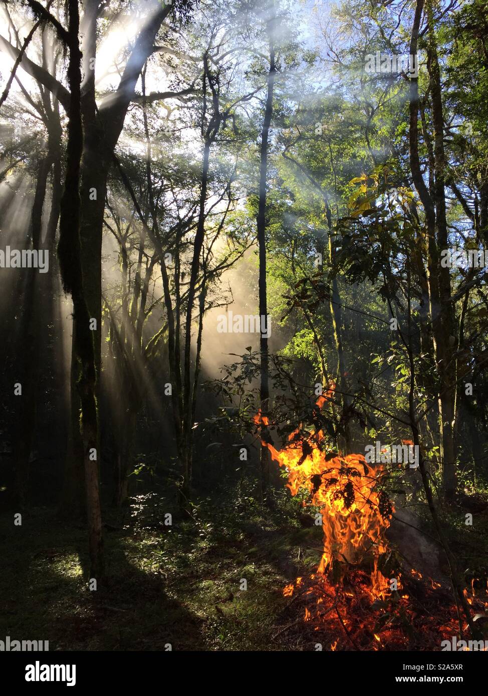 Smoky bonfire hi-res stock photography and images - Alamy