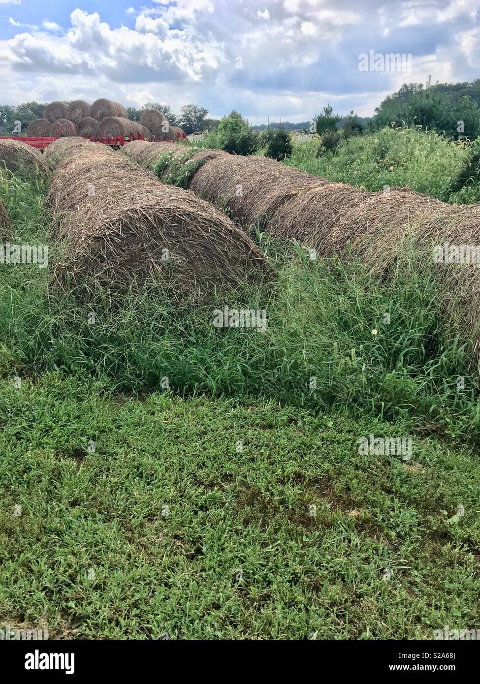Grass bails hi-res stock photography and images - Alamy