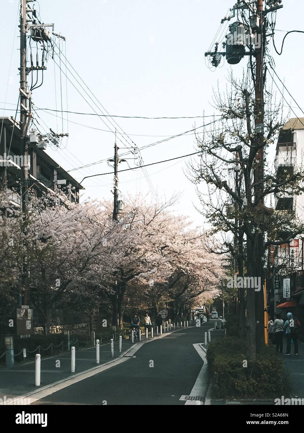 Sakura japan vintage hi-res stock photography and images - Alamy