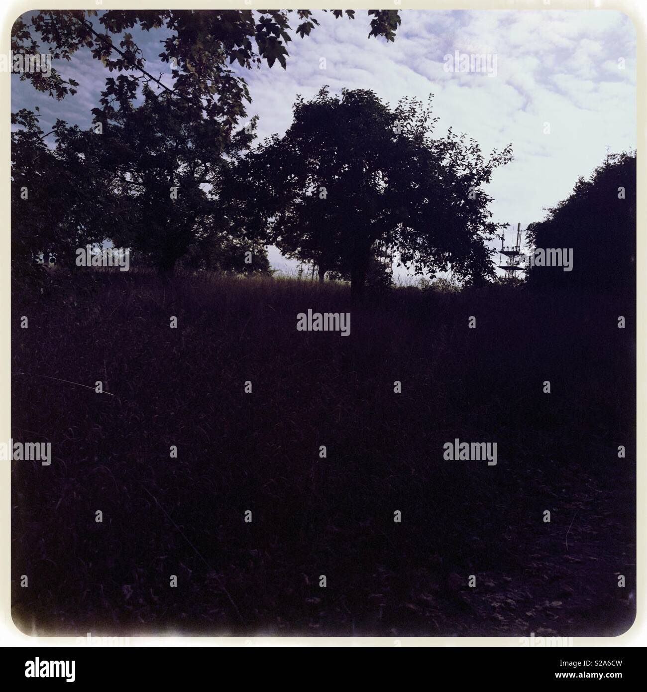 Dark landscape hi-res stock photography and images - Alamy