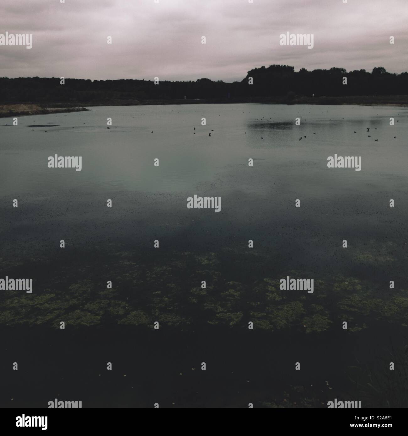 Dark lake hi-res stock photography and images - Alamy